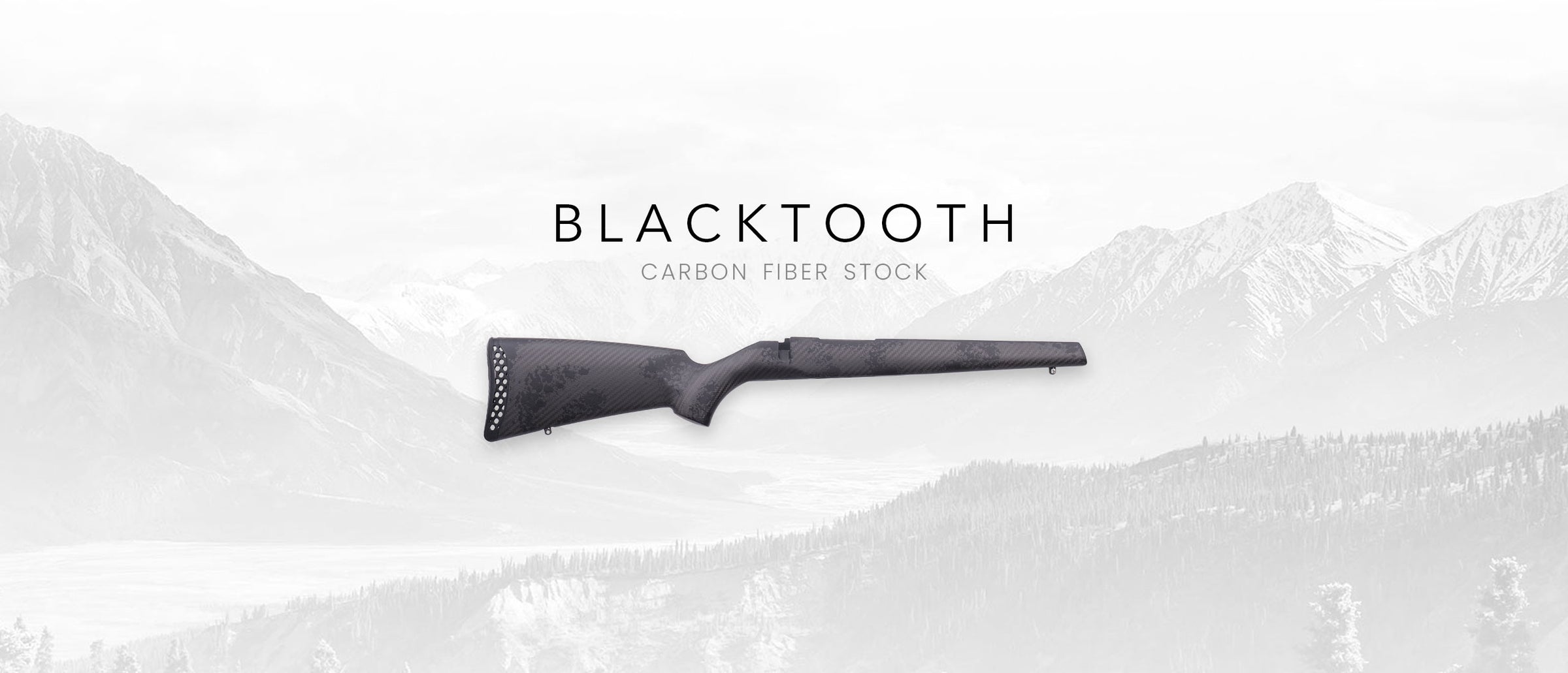 Blacktooth Stock
